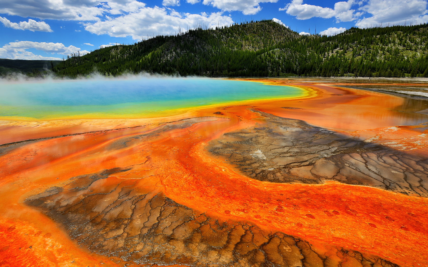 Mike Qualman Photographic Images