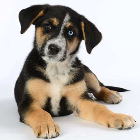 Mike Qualman Photographic Images